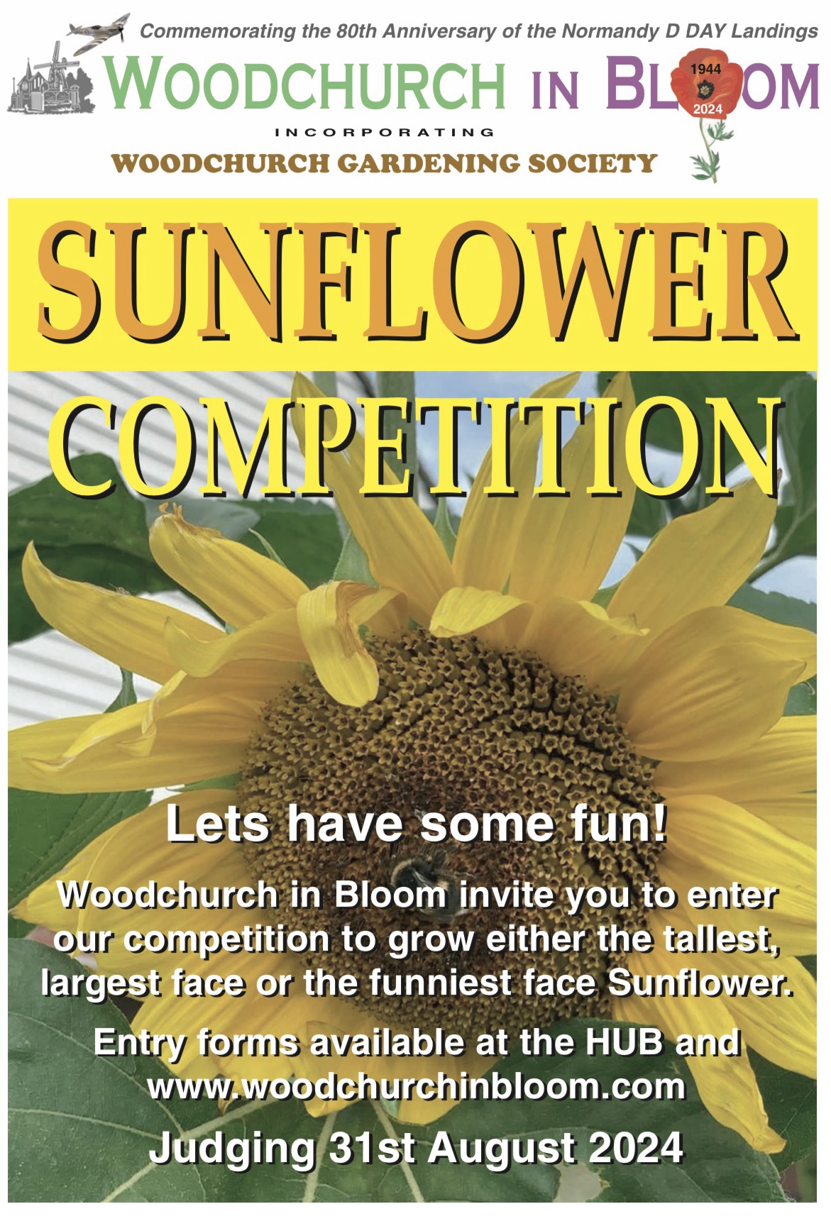 Sunflower Competition 2024 – Woodchurch in Bloom